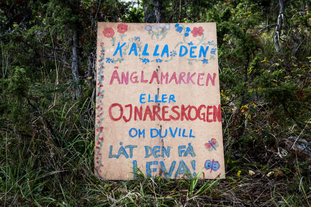 Segerrecept från Ojnare: kaffe, bullar och ickevåld